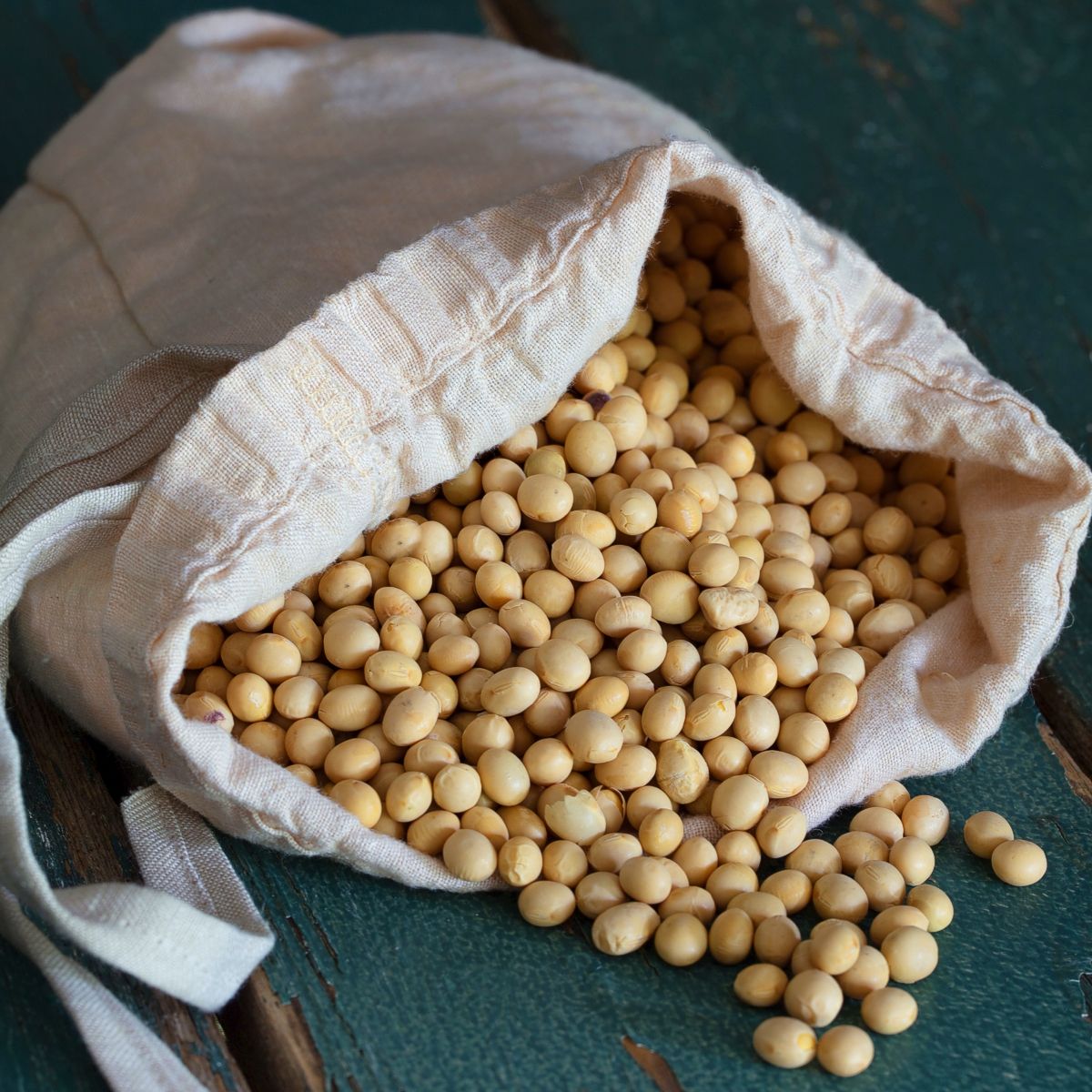 Soybeans, Organic, Superpail