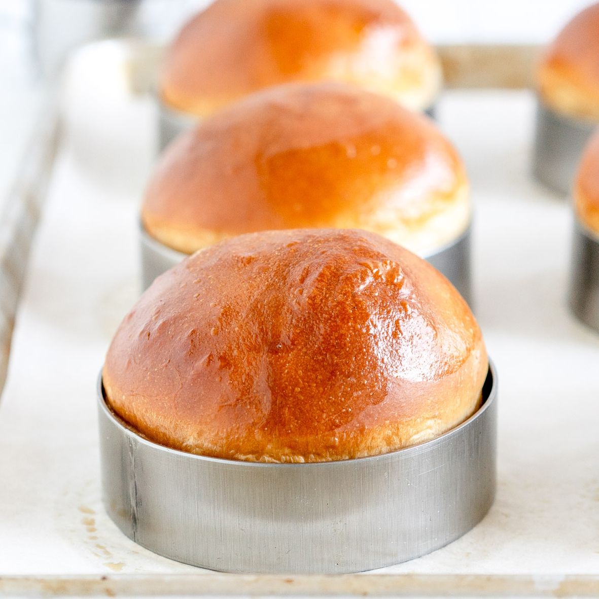Campbell Stainless Bun Rings, Set of 4