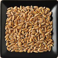 Organic spelt grain, nitro-packed superpail at PHG