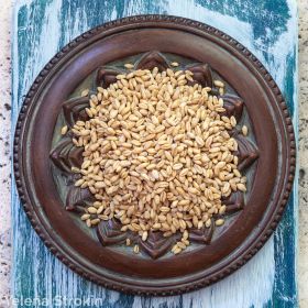 Soft white wheat berries, organic, for baking pastries at PHG