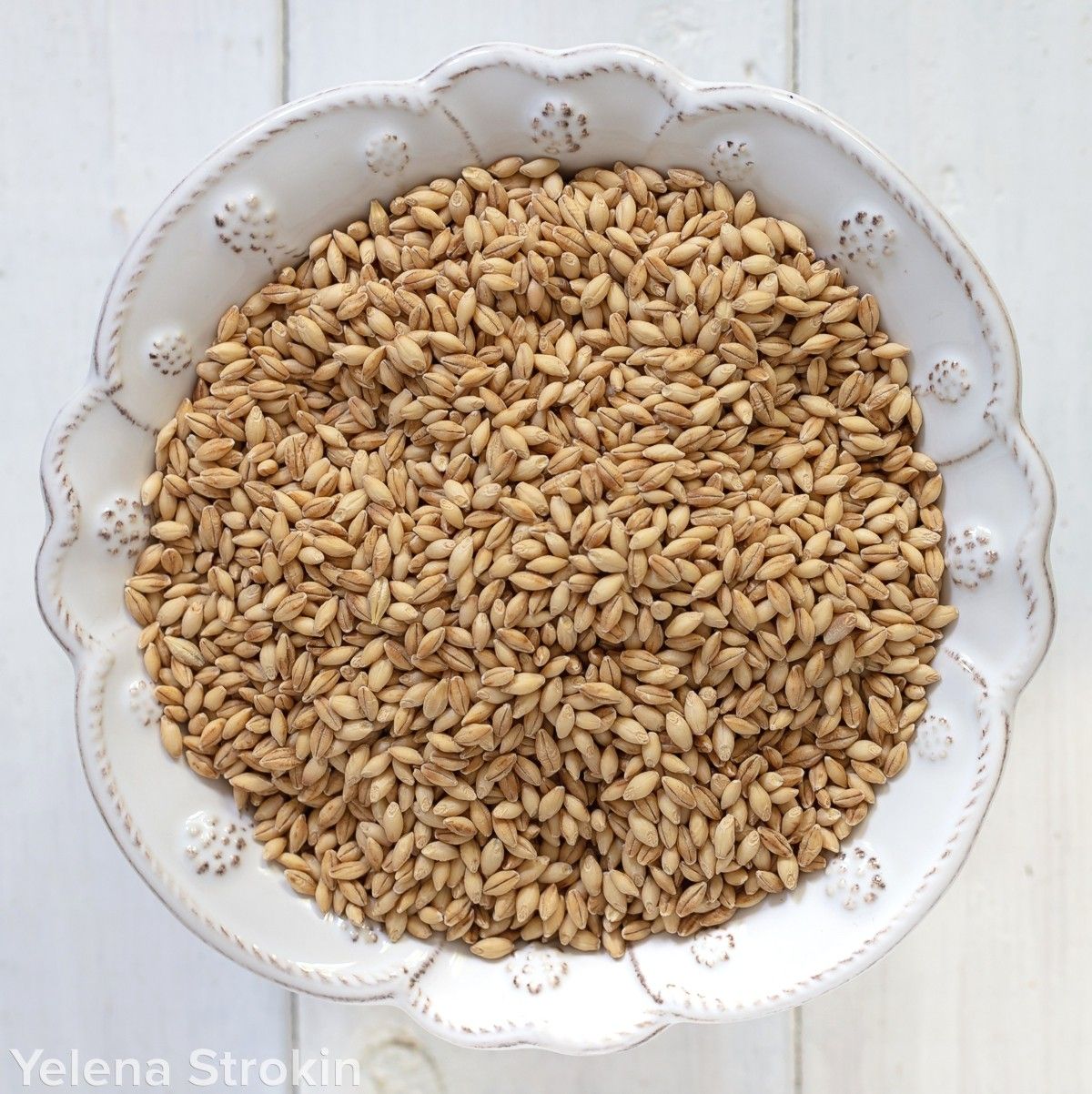 Whole Grain Barley, Hulless, superpail at PHG