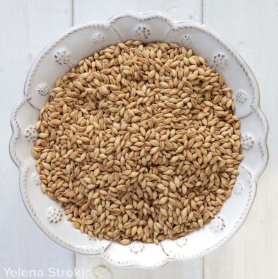 Whole Grain Barley, Hulless, superpail at PHG